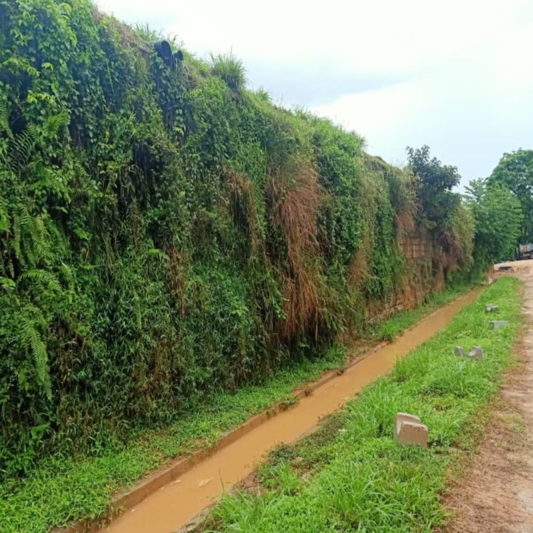 Environmental Geotechnics NEXUS EC SDN BHD